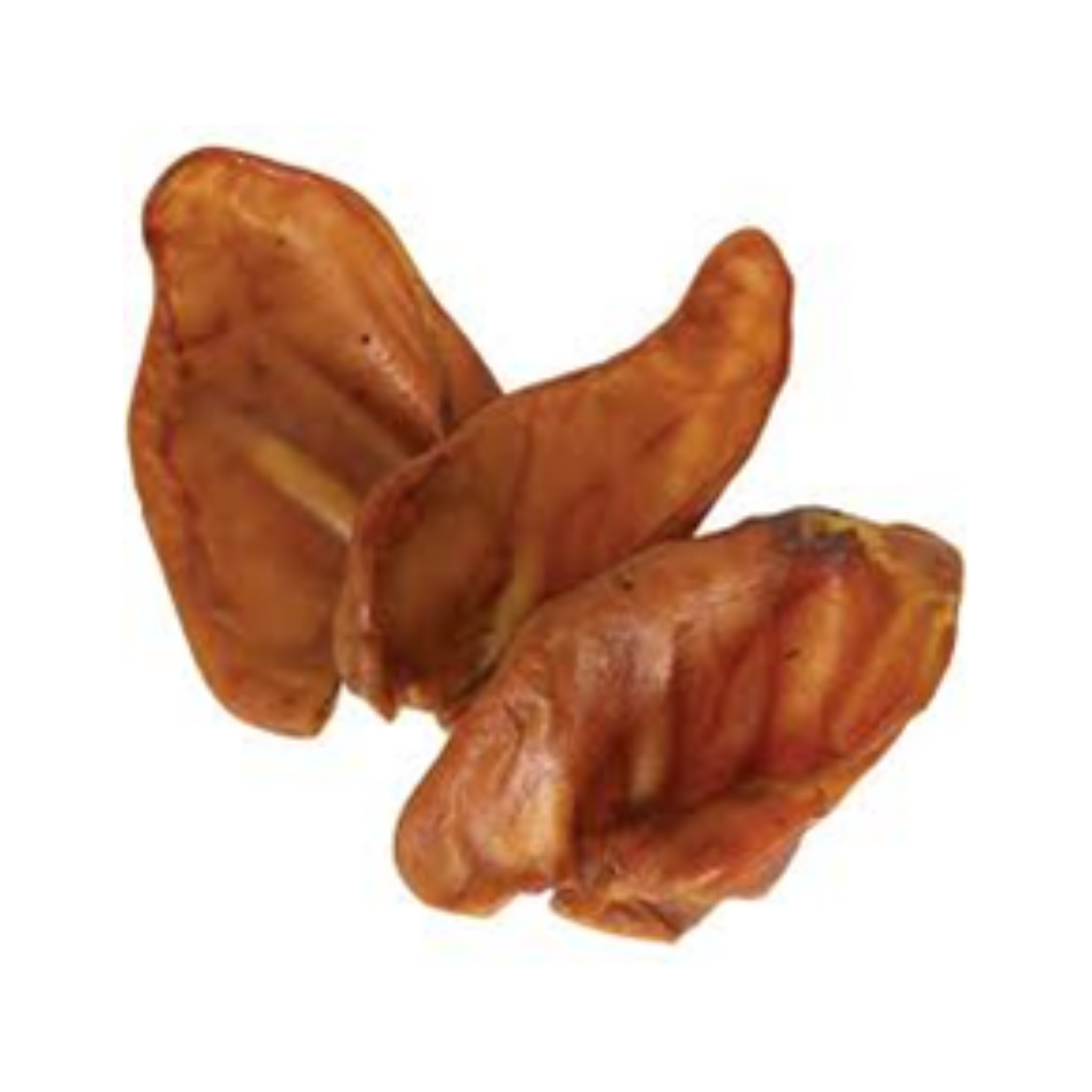 Pig Ears SLS Inc 