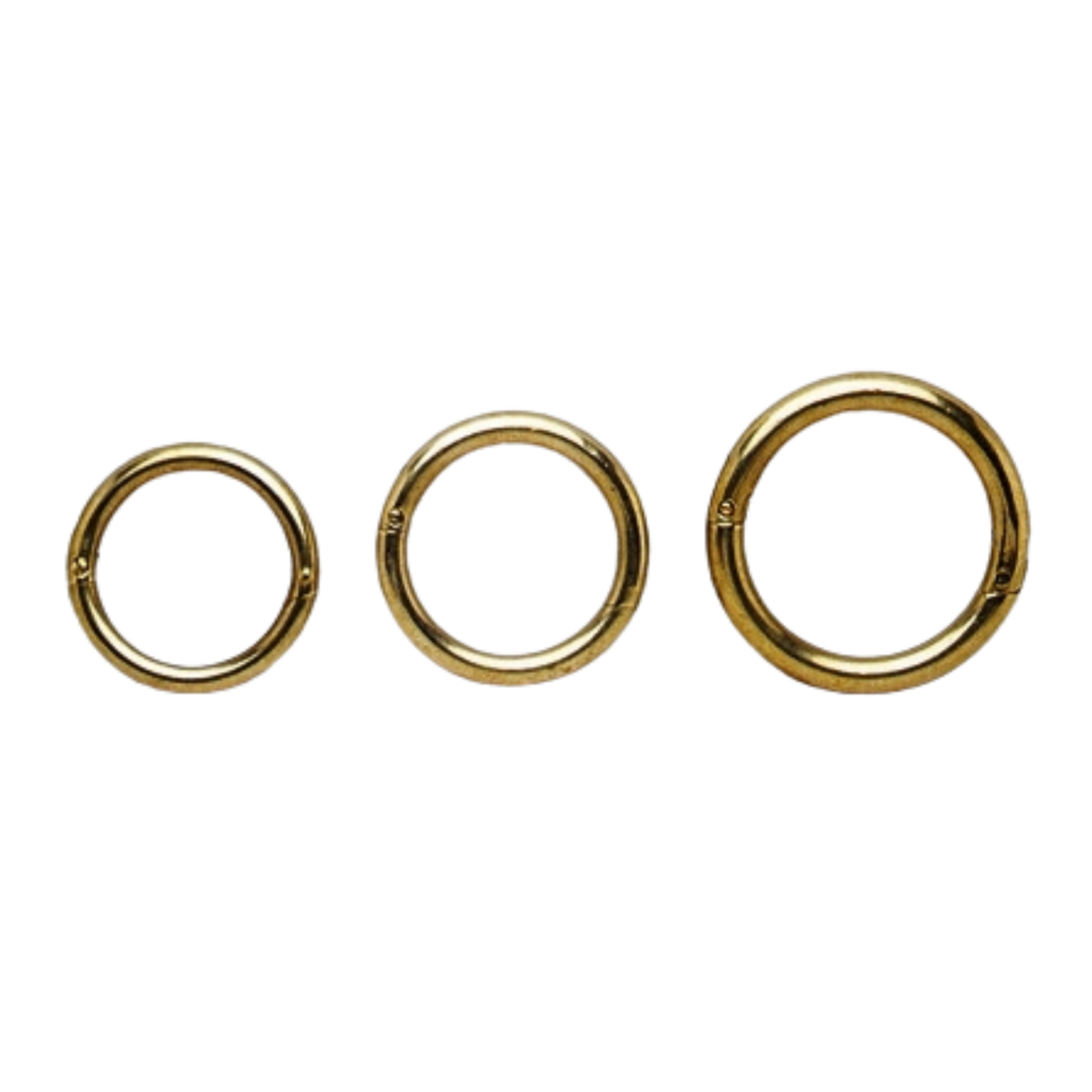Use Of Bull Rings at Marcus Dacomb blog