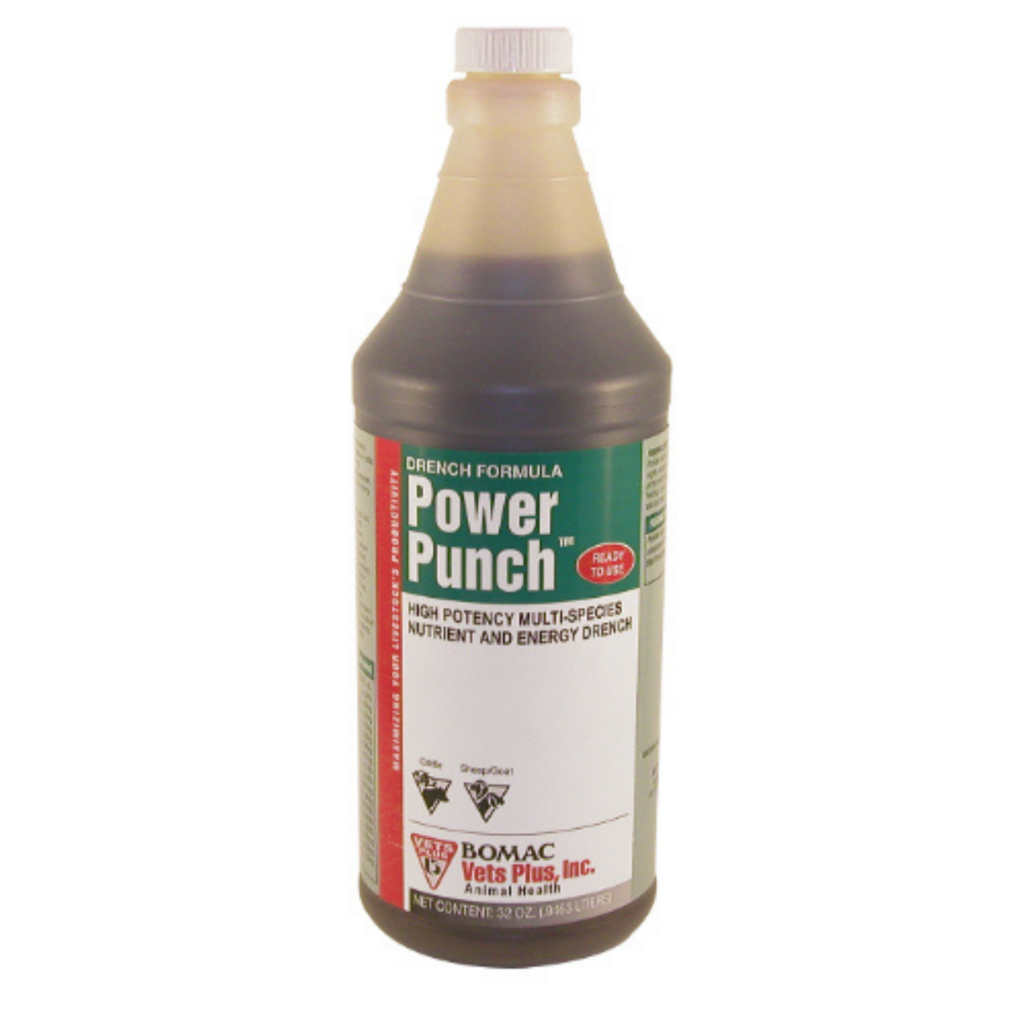 Power Punch Extreme Gear Oil Additive at Alyssa Corrie blog