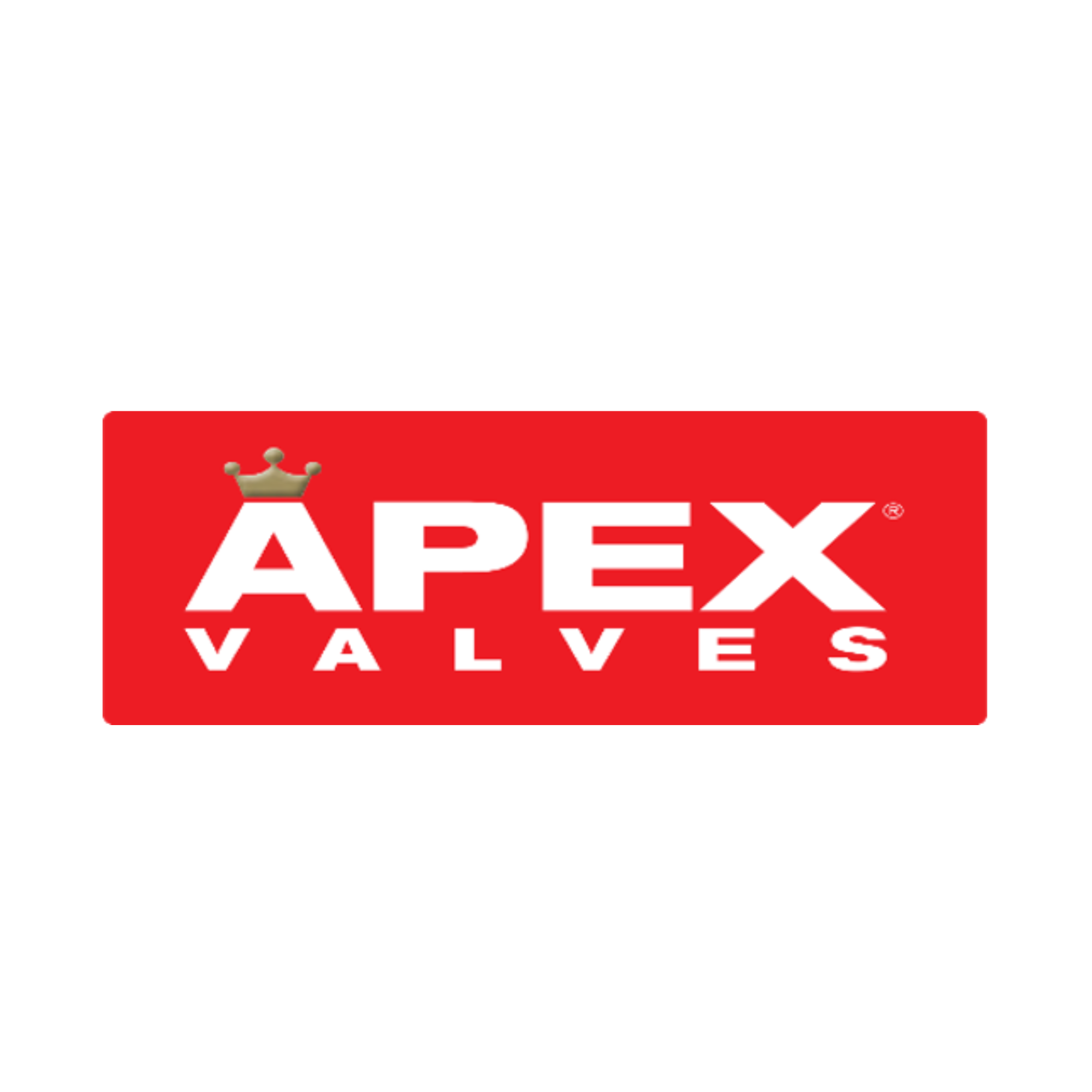 APEX VALVES 2025 - SLS Inc.