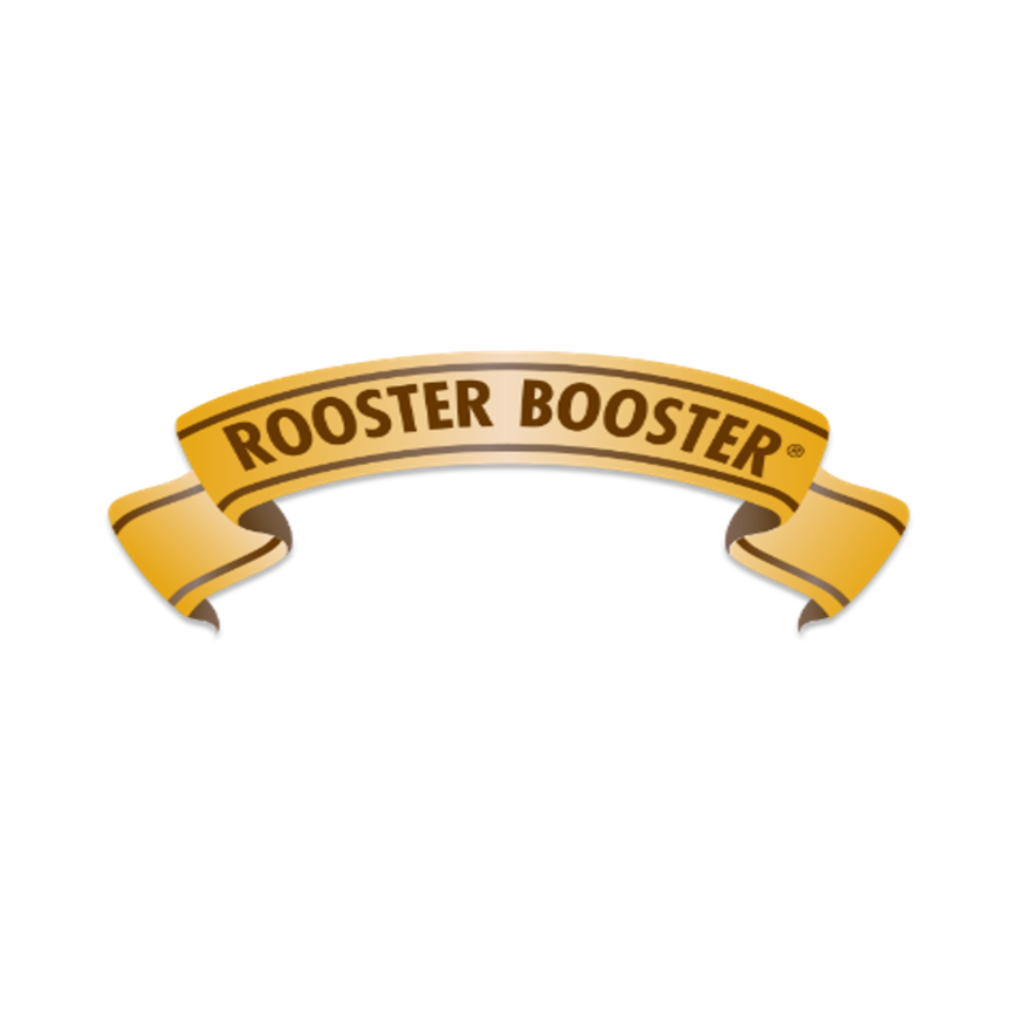 ROOSTER BOOSTER 2025 – SLS Inc.